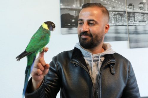 Nozar – wirSiegen – das Siegerland Portal